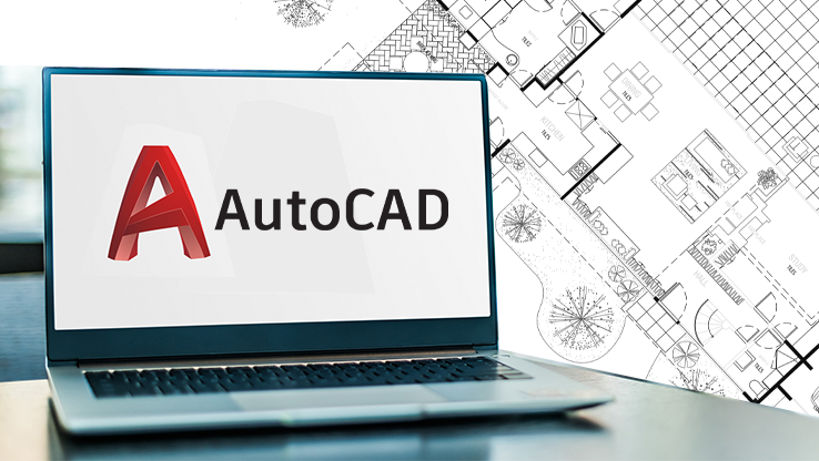 Explore | Cohostmarket.com